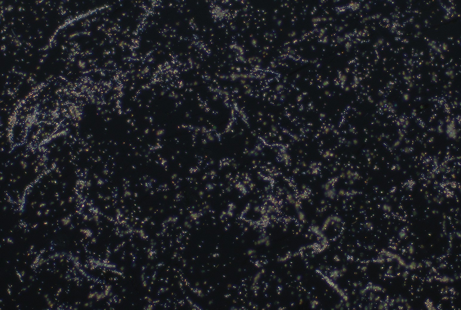 Amorphous precipitation | CellWiki