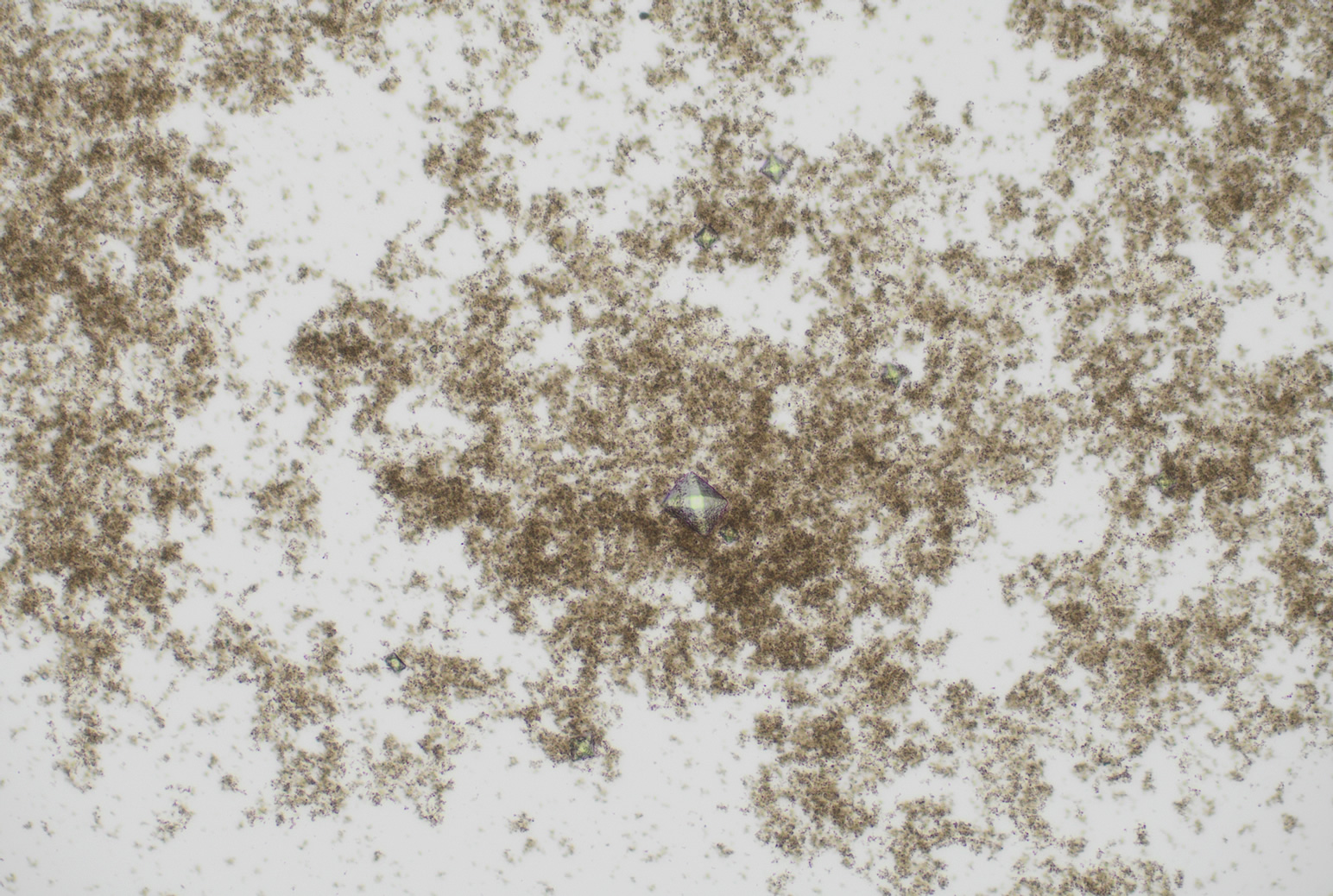 Amorphous precipitation | CellWiki